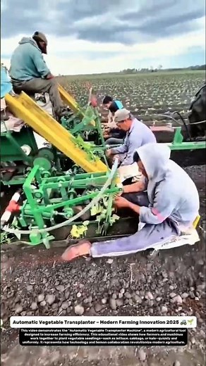 Automatic Vegetable Transplanter – Modern Farming Innovation.