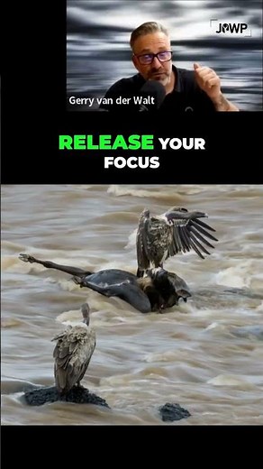 Wildlife Photography Tips Slow Motion, ICM, and Artistic Blurs!