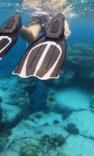 2K views | Finally found a mask defogger that works! #snorkeling #underwaterbeauty #konahawaii #coralreef #lovetheocean #slomovideo #hawaiistagram #islands | Brandon Dodson | Facebook