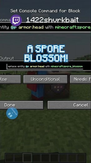 How To Put Items On Your Head In Minecraft!