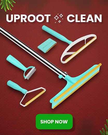 56K views · 111 reactions | Struggling to find a gift that people...