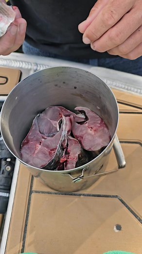 Few tips and tricks to Juicy Delicious Poached Mullet #mullet #netting #fishing #roadtrip #adventure | Muddy Feet