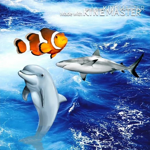 Les différents milieux de vie des animaux 🐤🐬🐫