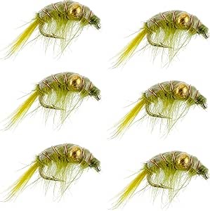 The Fly Fishing Place Olive Beaded Shrimp Scud Patterns- 6 Flies - Size 12 - Tailwater Lake Fly Fishing Nymph Flies