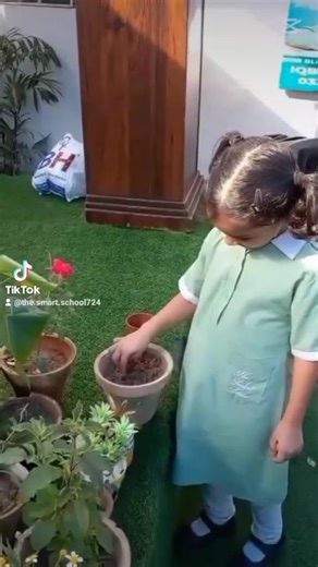 🌱 Learning and Growing Together – Students explore the world of plants through hands-on activity. | The Smart School - Iqbal Campus