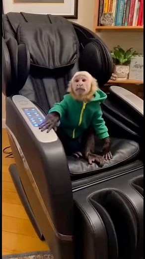 Monkey uses massage chair 🤣😭 #sora #shorts