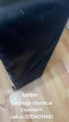 🪳 Got unwanted guests at home or work? Don’t let pests take over your space! 🕷️🐭 At J Pest Control London, we offer expert, certified treatments for: ✔️ Bed bugs ✔️ Cockroaches ✔️ Mice & rats ✔️ Ants ✔️ Wasps & more 🏡 Residential & Commercial Services ✅ Safe & eco-friendly methods ✅ Proofing & prevention ✅ 12 years of experience 📞 Contact us today for a free quote! 07514011481 🔗 https://jpestcontrollondon.co.uk/ #PestControlLondon #BedBugsTreatment #RodentControl #CockroachRemoval #PestPre