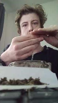 video how to roll a joint how to roll a spliff someone actually rolling a joint #stonerthoughts
