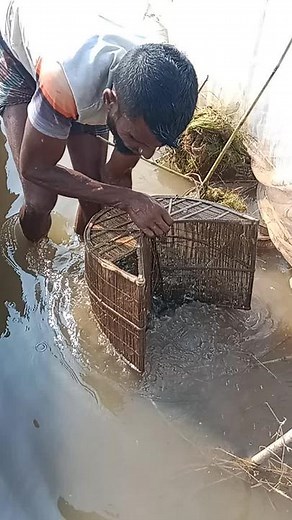 নিলাদ্রি হাওর ভ‍্রমন on TikTok