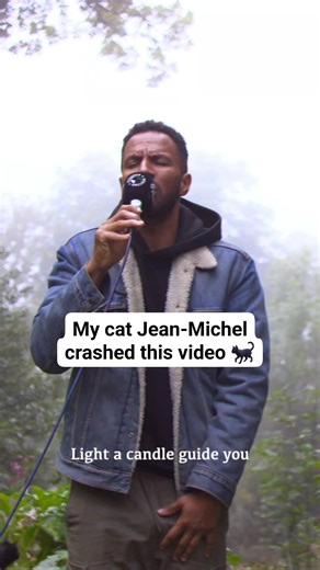 Freaking flightless fruitbat fluffball 🙃🐈‍⬛ Shout out to all cat people. | Alpha Steppa