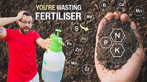 The Ultimate Fertilizer Guide for Thriving Plants