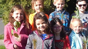 36K views · 492 reactions | FREE TREES!  You will receive five...