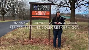 During their annual migration thousands of snow geese stop and recharge at the Middle Creek Wildlife Management Area in Lancaster and Lebanon counties. While the Middle Creek Visitors Center will be closed for 2021 migration season, the Game Commission still welcomes wildlife enthusiast alike to check out the viewing areas. Before visiting please watch this video to make sure you are prepared for your trip. | Pennsylvania Game Commission