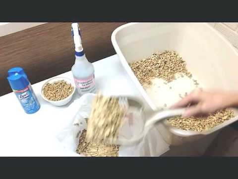 How to clean a cat wood pellet litter box