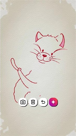 DMF|Dimethyl formamide