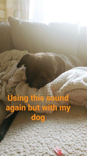 why does ts give free viewers and subs like wtf