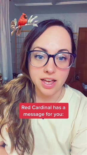Cardinal Bird Spiritual Meaning: Unveiling the Significance of Red Cardinals