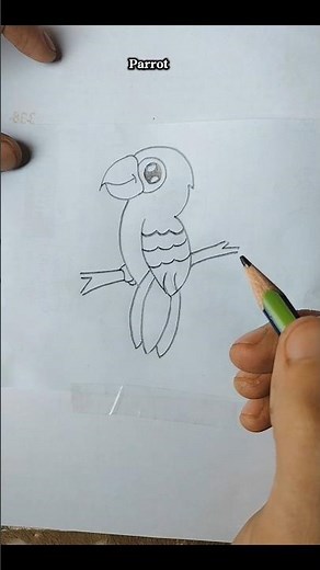Easy Bird Drawing Parrot #parrot