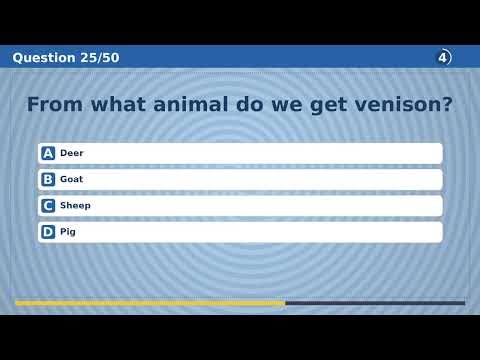 Brain Test: 50 Trivia Questions