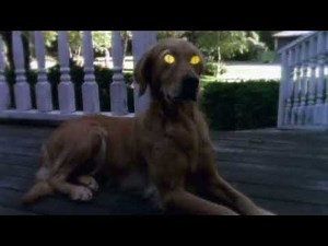 Goosebumps Theme Song [1 Hour Loop]