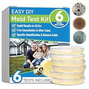 Mold Test Kit for Home-Simple Mold Detection Kits, HVAC, Surface & Indoor Air Quality Testing, Fast and Reliable DIY Mold Detector for House Black Mold, Identification Guide Free Analysis (6 Pack)