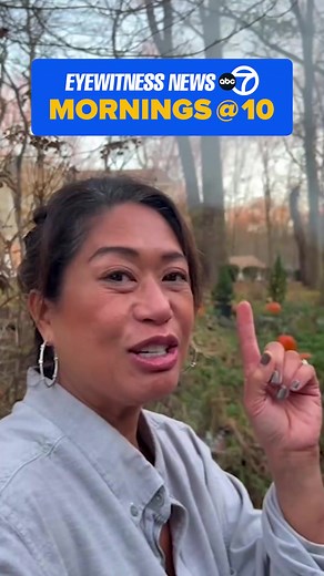 9.5K views · 56 reactions | Don't cook your turkey like Nina Pineda and family tried to do, but do check out her Cyber Monday tips at the link in the comments. Watch Shirleen Allicot, Mike Marza ABC7, Sam Champion, and Dani Beckstrom on Eyewitness News Mornings @ 10 every weekday on Channel 7 and wherever you stream ABC 7 New York! | ABC7NY | Facebook