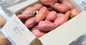 How to store sweet potatoes, keep them all winter