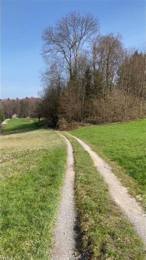 Just a simple walk. # 3 #walking