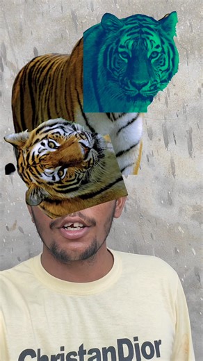 Tiger 🐯 photo Stop New Puzzle 🧩 game 🎯 challenge video #tiger #tigerking #puzzle #viral #reels #game #fbreelsfypシ゚viralシ #fbreelsfypシ゚ #challenge | circle challenge