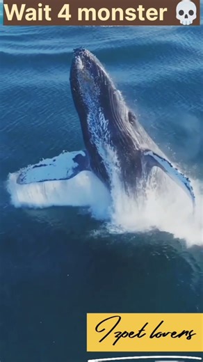 Ultimate Transformation😱 Dog 🐶 Shark 🦈 Snake From Cute to Fierce 💪 #AnimalTransformation #EpicBeast