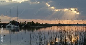Foreground of wetland plants, sailboats moored at wood dock at background at sunset. Orange reflections over water and volume light. Villa Soriano, Uruguay