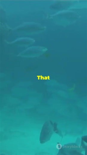 How Bionic Fish Outsmart Obstacles: Intelligent Learning via Enhanced SAC, HER & CQL #BioInspiredAI