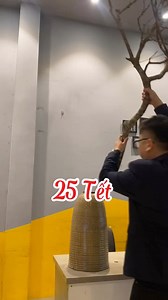 105 reactions · 20 comments | Phóng sự Tết 2025 - Phần 1  | Long Trắng | Facebook