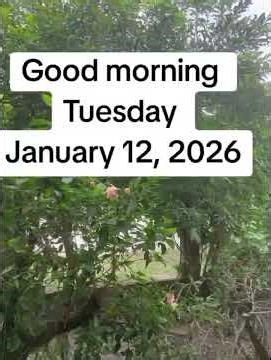 Good morning #tuesday #remixmusic