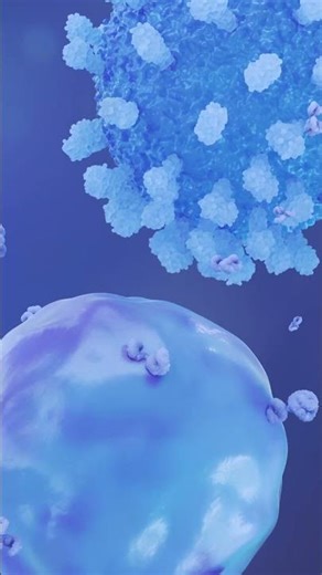 How Your Immune System Releases Antibodies to Fight Viruses #scienceanimation #influenzavirus