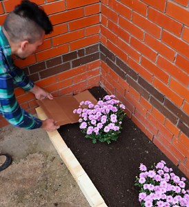 3.6M views · 41K reactions | Creative tips for your garden | 5-Minute Crafts Men | Facebook