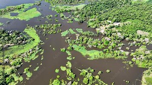 Amazonian River At Manaus Amazonas Brazil. Capturing The Effects Of Flooding In The Amazon Rainforest. Peru River Forest Landscape Hydrography Bay. Peru Jungle. Manaus Amazonas.