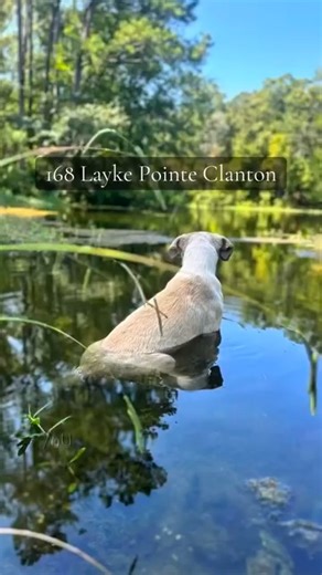 ⛵️1100 /- Waterfront 🚤 2 Slip Boathouse👙Swim Pier🌅 16x20 Pavilion 📍2.5 /- Acres➕3400 /- SF🛌 5 Bedrooms 🛁 3 Baths🌪️ Private Storm Shelter💦 Year Round Water 168 Layke Pointe Clanton $1,142,700 The Corley Team KW Metro South MOM SON DUO Jake Corley 205-514-7792 Lea Corley 205-568-7009 | Lea Corley