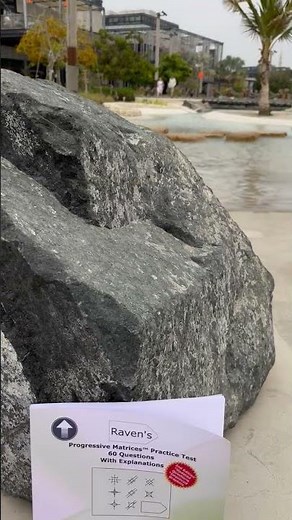 Raven's Progressive Matrices™ Practice Test