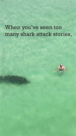 3.3M views · 17K reactions | When you've seen too many shark attack stories in the news, and a Manatee swims past you at the beach in Florida. Of all the funny videos I've taken of people being startled by manatees, this is one of my 2 favorites. #animals #nature #funny #wildlife #florida #beach | See Through Canoe | Facebook