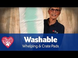 Washable Whelping and Crate Pads
