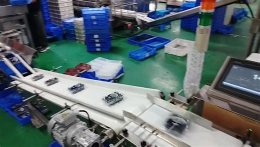 Blueberry Grading, Sorting, and Packaging Machinery