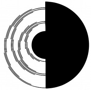 La ilusión del disco de Benham que te hace ver colores imaginarios