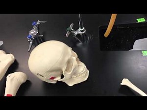 Lab Exam I: Answers Part 1