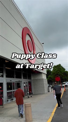 3.1K views · 127 reactions | Puppies take on Target!  It’s essential...