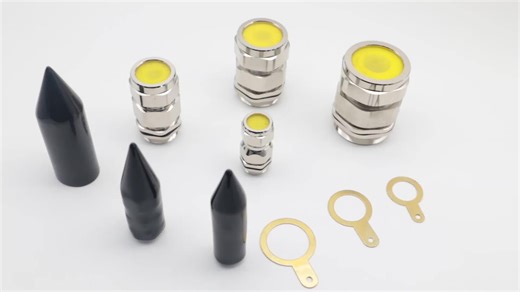 IP66 EX Proof Cable Glands M20 M25 M50 Cable Glands Double Sealed Compression Armored Flameproof