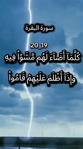 اكتب شيء تؤجر عليه 🤍#قرآن #تلاوة_خاشعة #راحة_نفسية #لايك #سبحان_الله