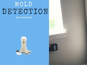 How to Detect Mold in Your Home | Signs, Types, and Testing Methods