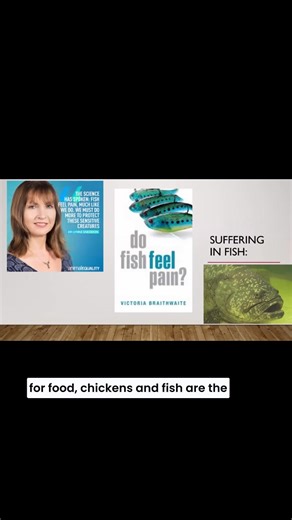 Factory farming isn’t necessary to feed the world. It actually reduces the food available to humans. We feed grain and soy to animals, but much of it is lost keeping their bodies warm or building body parts we don’t eat. Factory farming also worsens climate change and increases the risk of future pandemics, as we saw with swine flu before COVID-19. The solution is clear: we should end factory farming. Each of us can play a part by avoiding animal products and choosing plant-based diets. It’s bet