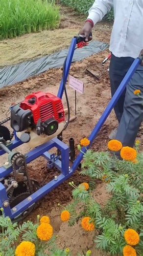 Tools for weed control